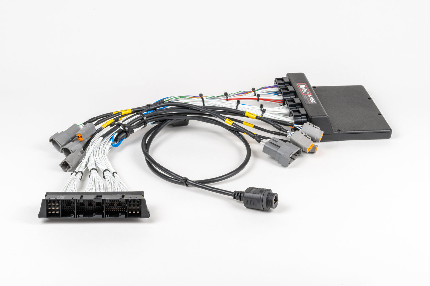 Motorsport Wiring – Calibrated Performance